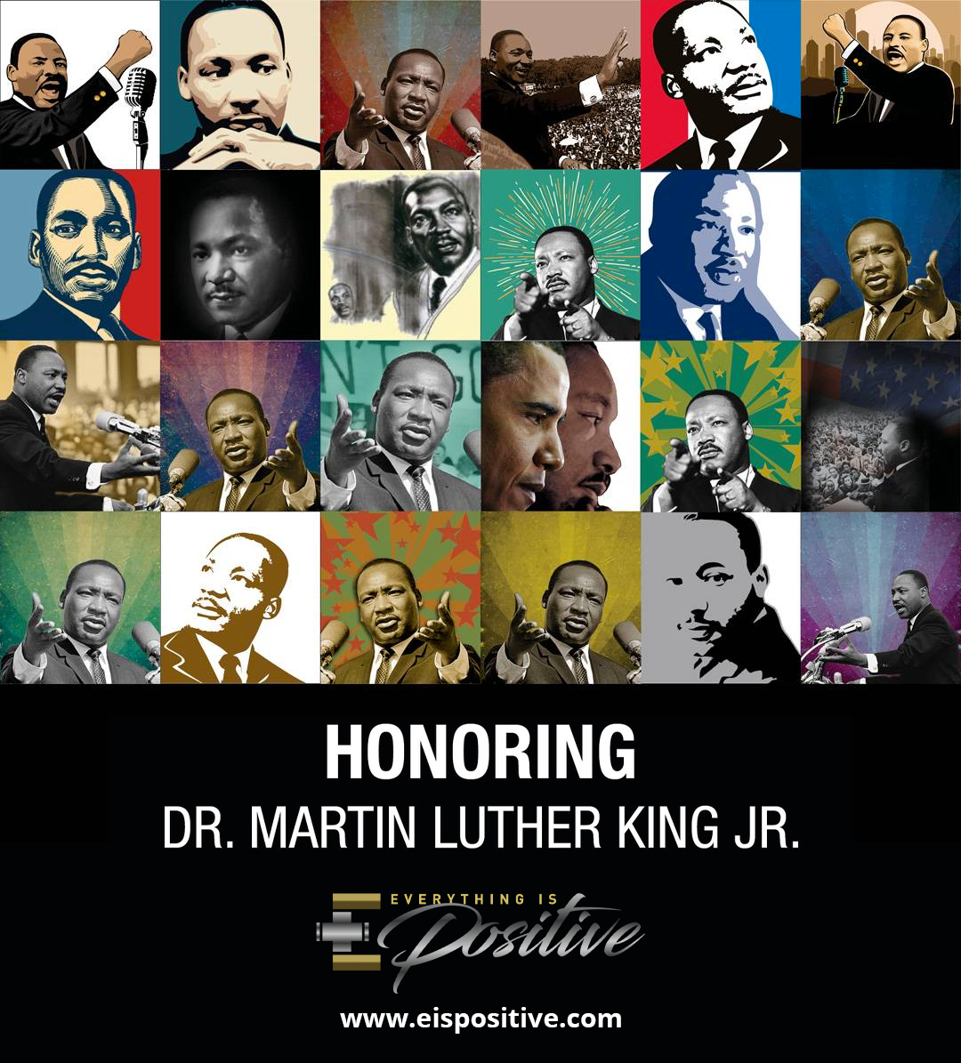 Bella Lane – Creative Director :: Brand Manager :: Project Manager